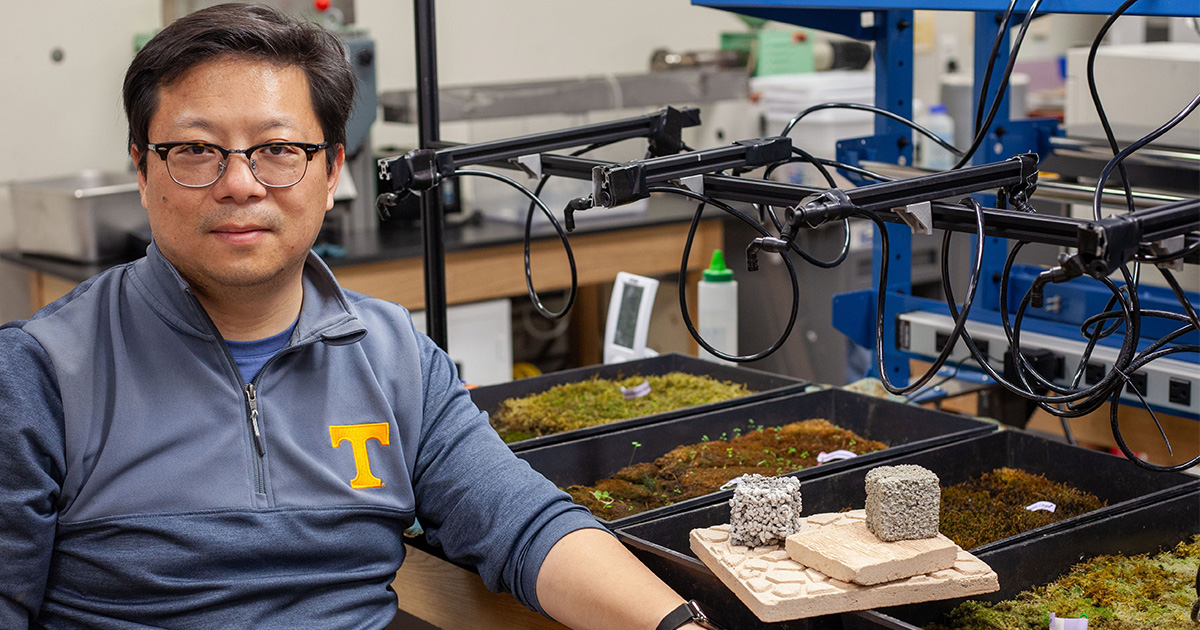 Reimagining the Urban Jungle: Young Faculty Award Supports Zhou’s Eco ...